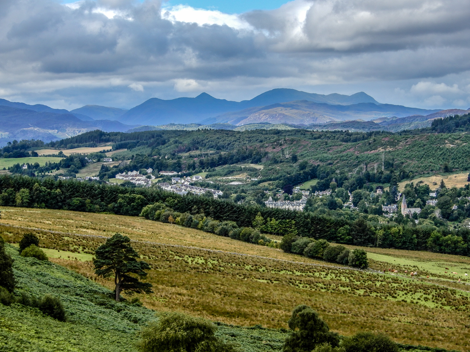 Questing for Wonder in the Scottish Highlands near Invergordon | The Cosmos