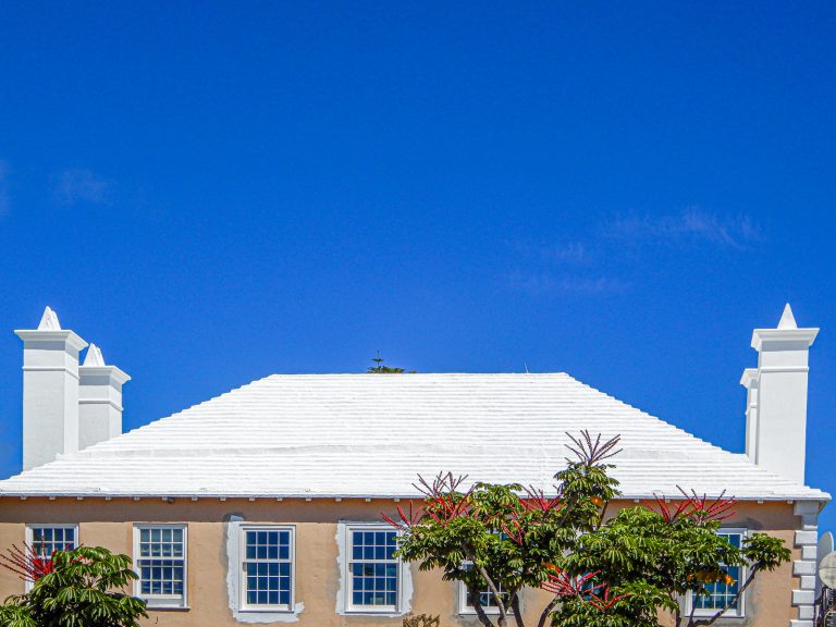 Questing for Wonder in Bermuda | The Cosmos