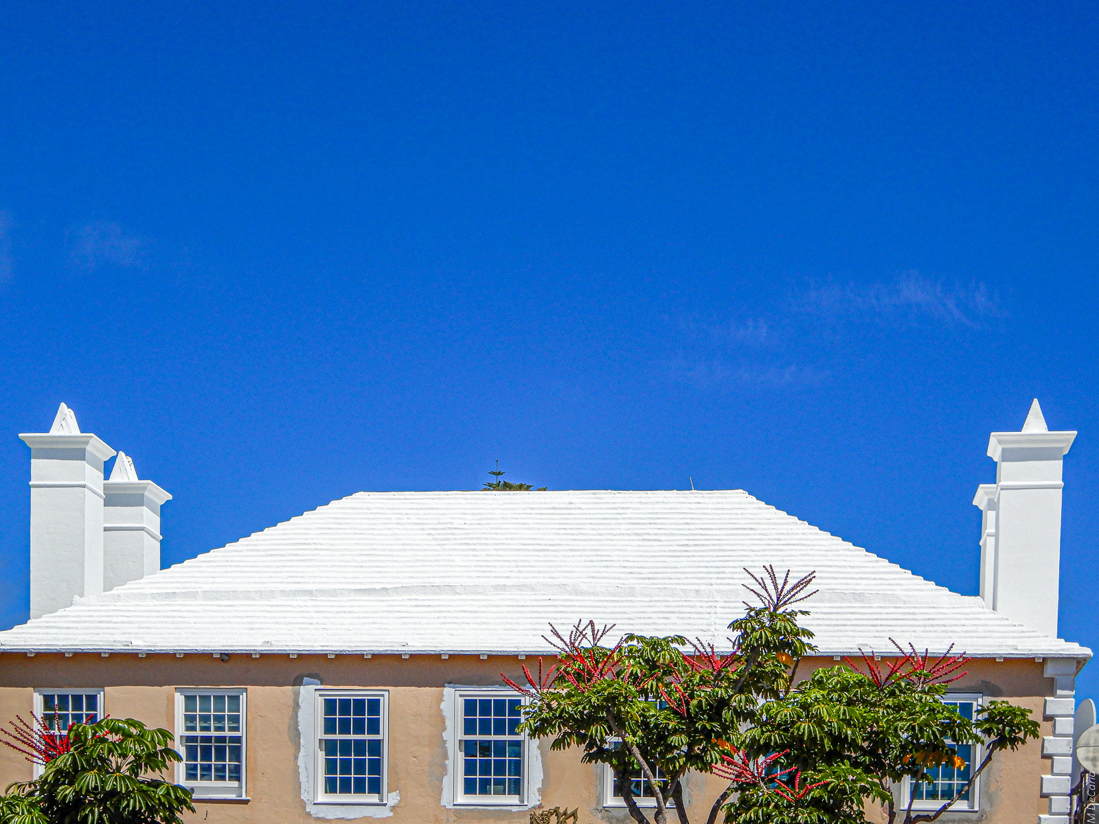 Questing for Wonder in Bermuda | The Cosmos