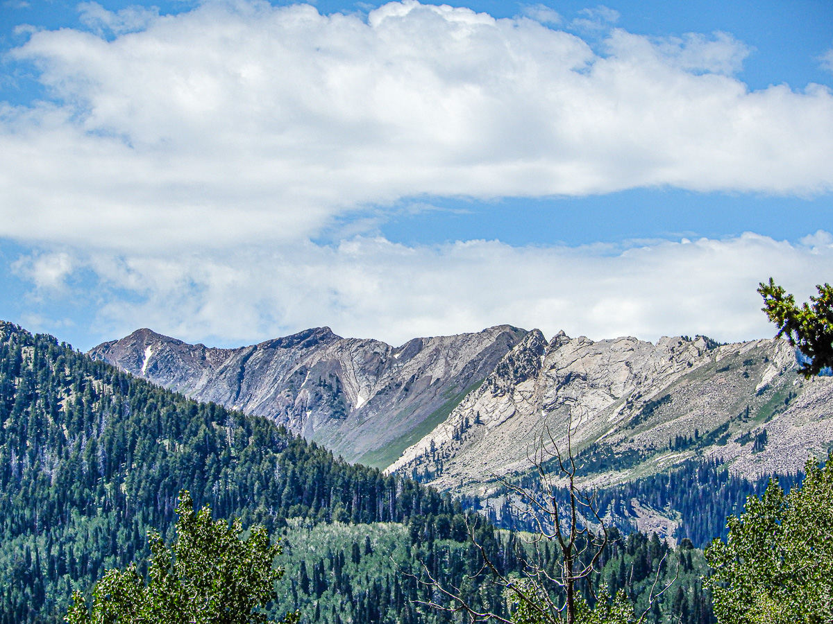 Dog Lake-8 | The Cosmos