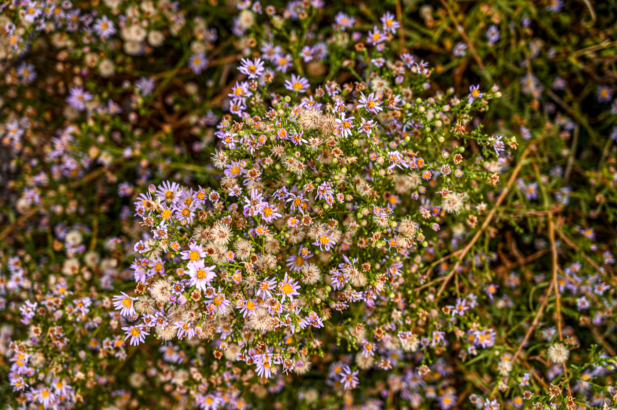 September Equinox Dawn 2022 | The Cosmos