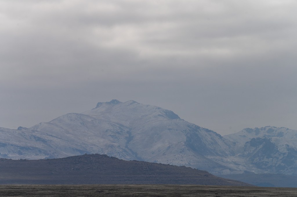 Visiting Antelope Island during Winter | The Cosmos